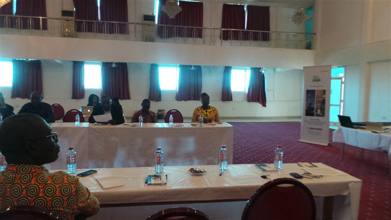Land Admin KSI 2017 | Good Governance Africa