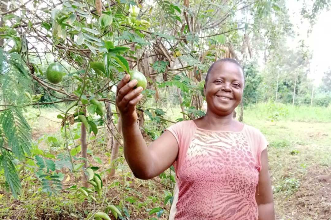 East African food forests | Good Governance Africa