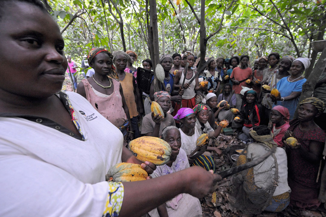 Terence Corrigan | Good Governance Africa