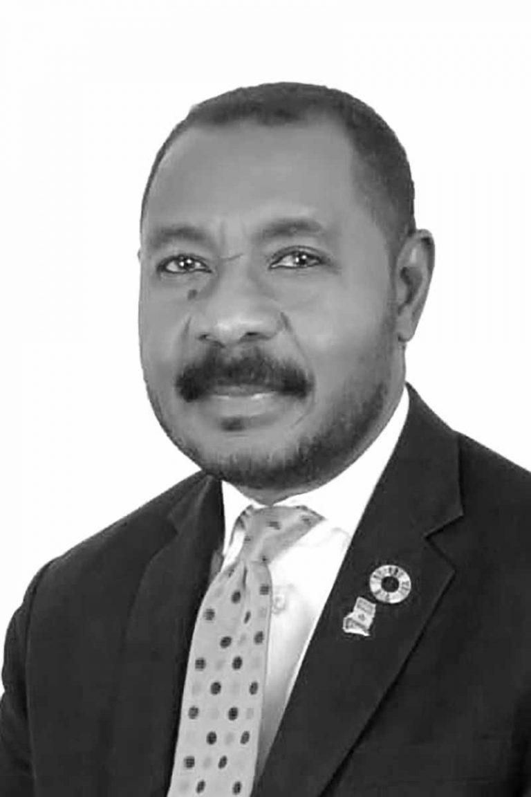 Nana Osei-Bonsu | Good Governance Africa