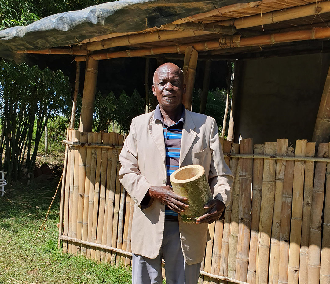 Bamboo plays an important role in regenerating East African ...