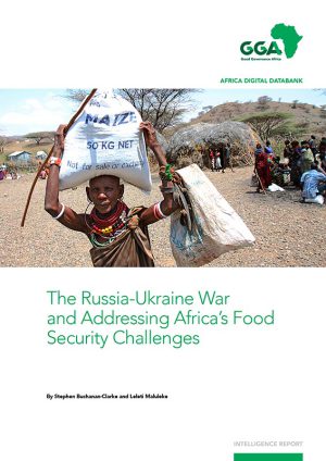 The Russia-Ukraine War and addressing Africa’s food security challenges ...