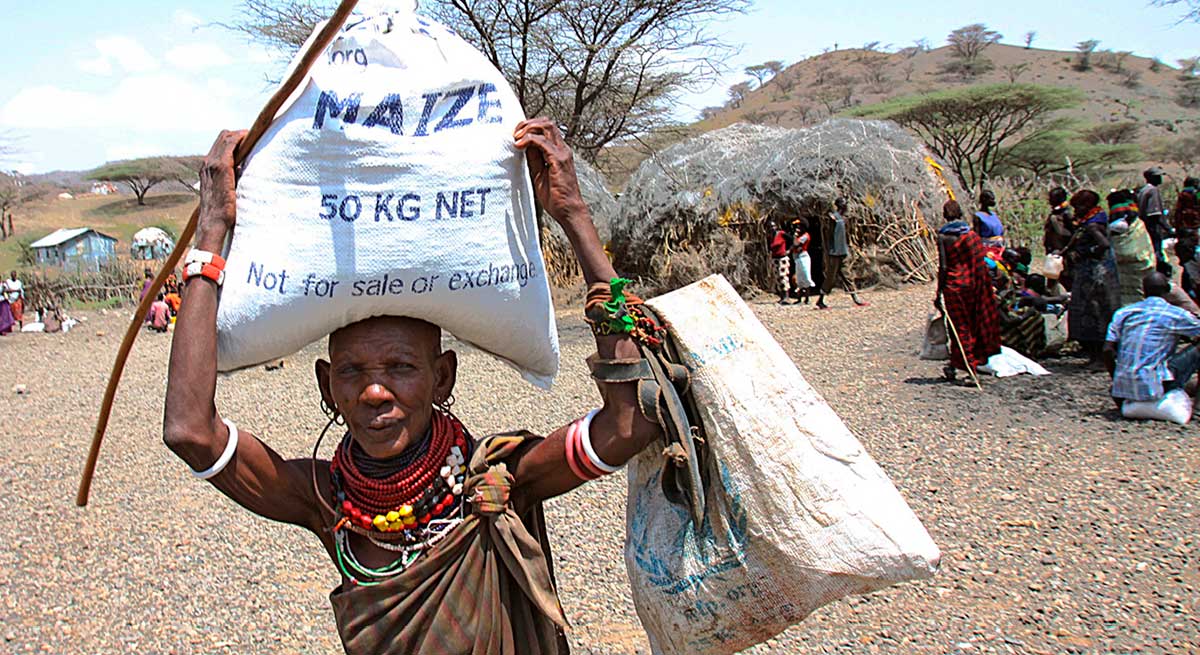 The Russia-Ukraine War and addressing Africa’s food security challenges