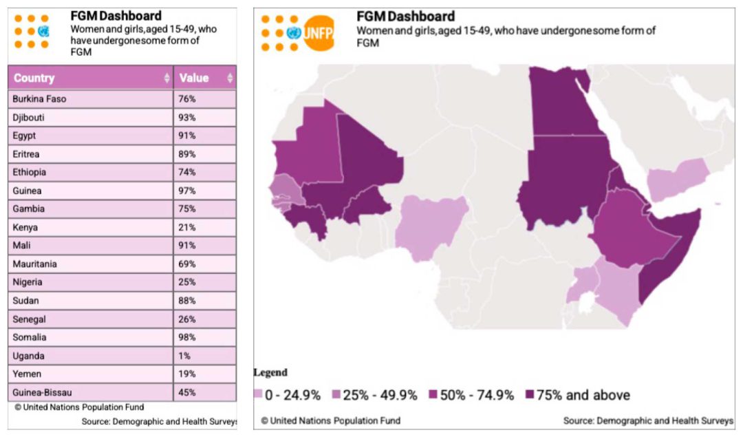 Ending FGM: The road to 2030 | Good Governance Africa