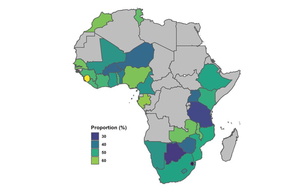 The crucial role of local governance structures | Good Governance Africa