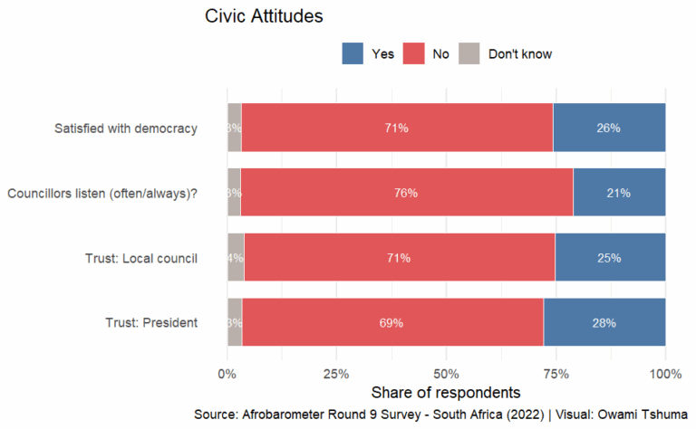 Local municipalities are crucial for sustaining democracy in South ...